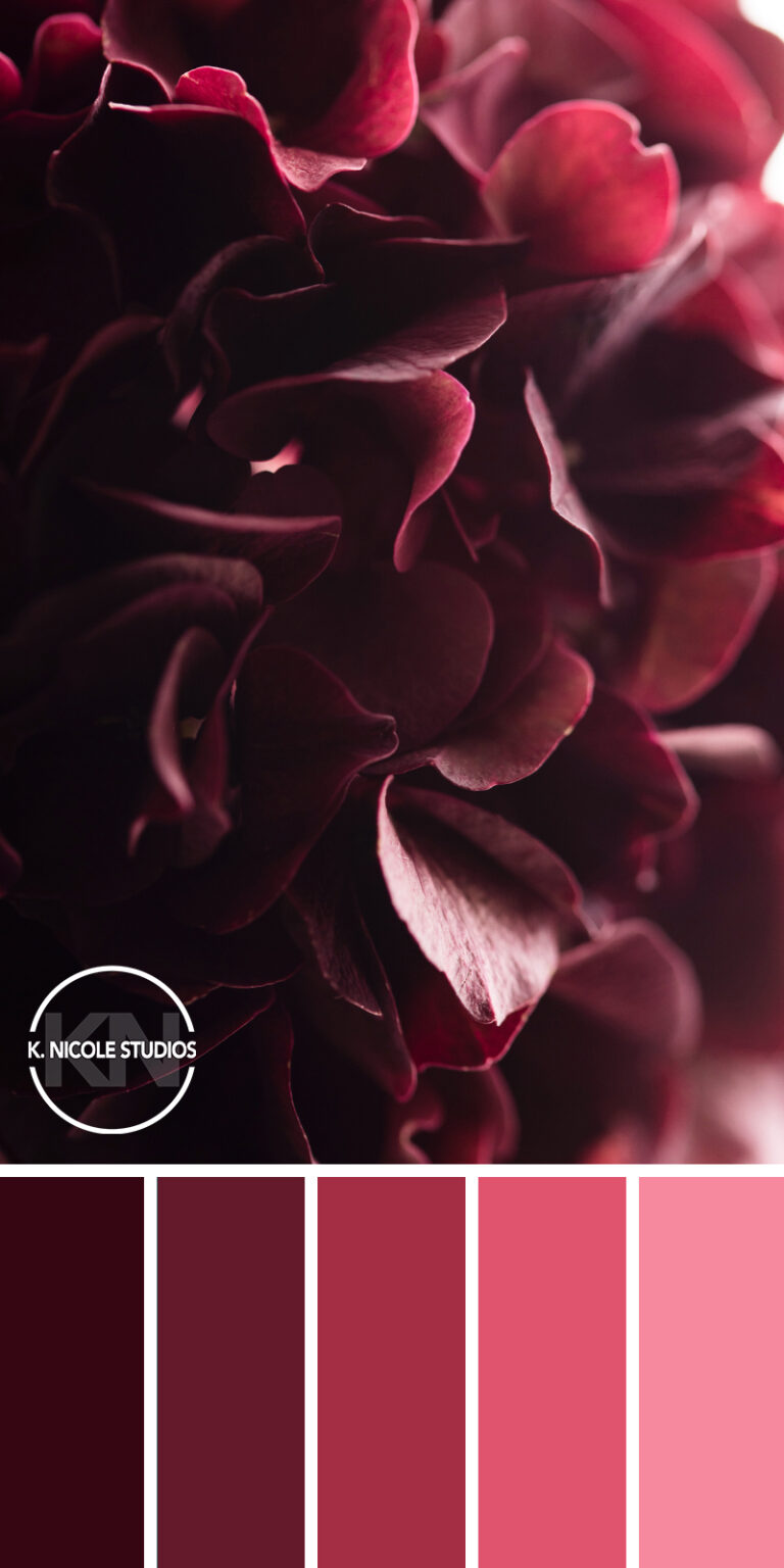 Color Palettes – K. Nicole Studios